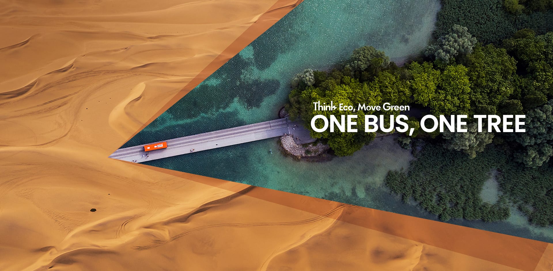 Net Zero Forest-YutongGlobal